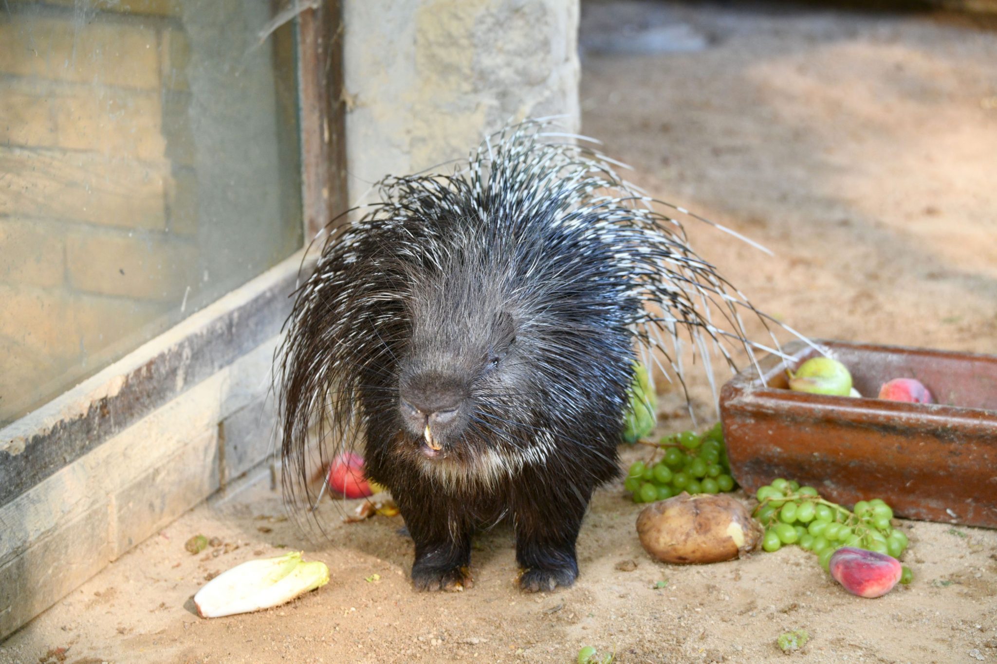 Start - Förderverein Tierpark Gera