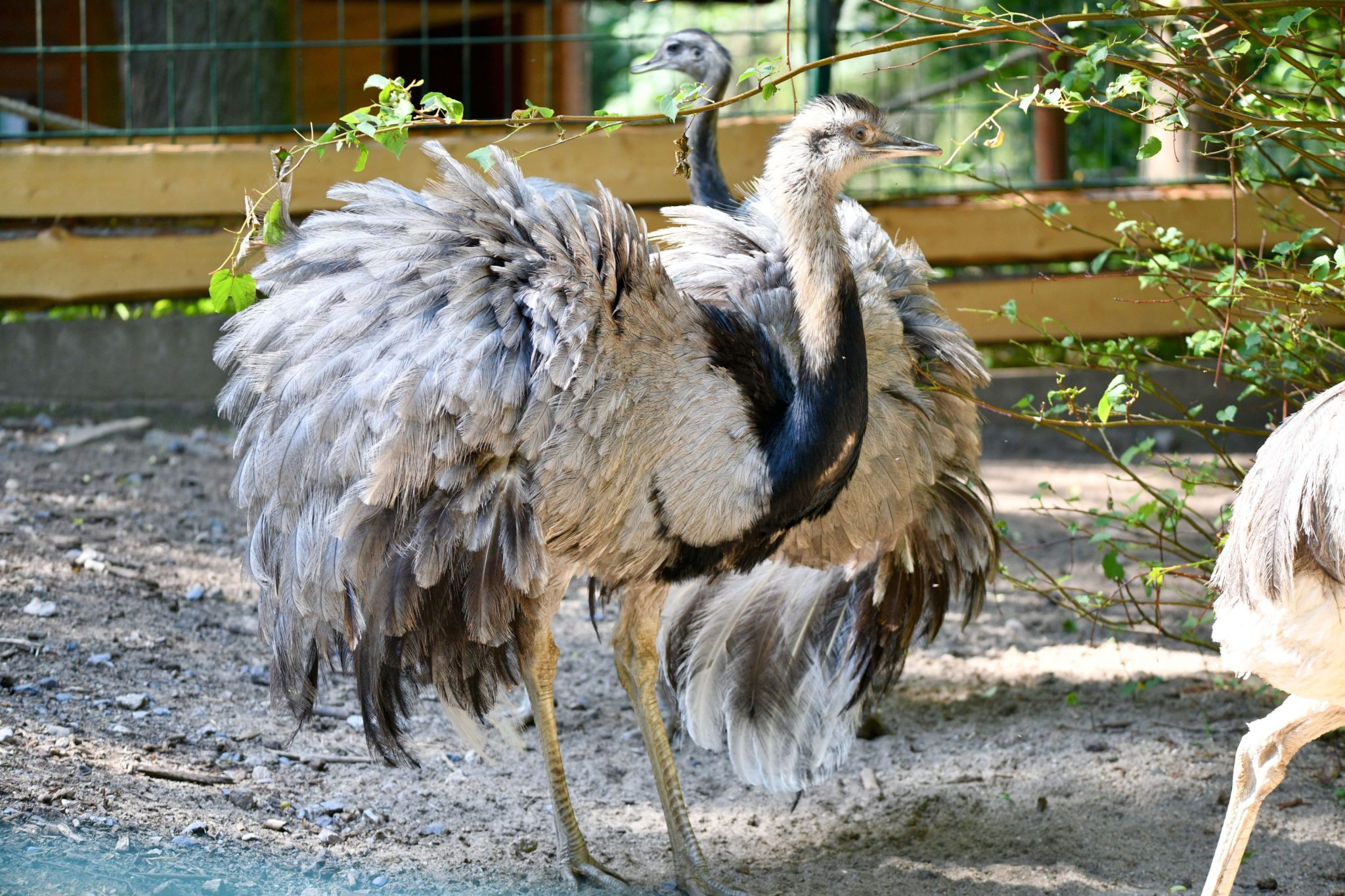 Start - Förderverein Tierpark Gera
